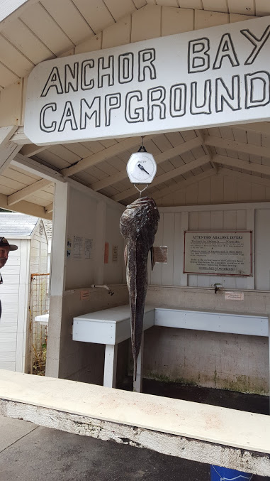 Anchor Bay Campground – Manufactured and Mobile