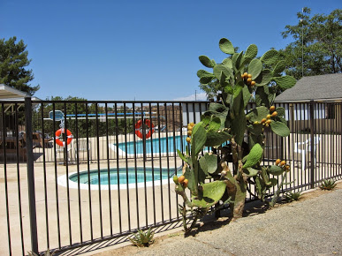Country Hills RV Park – Manufactured and Mobile