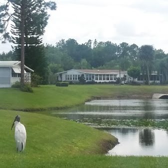 Lake Fairways Country Club – Manufactured and Mobile Homes: Affordable ...
