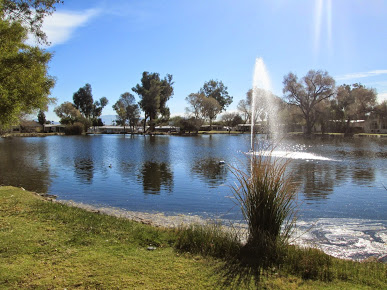 Oracle Junction Mobile Home Park – Manufactured and Mobile